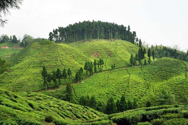 Bengala Occidental - Guía y Viajes a Bengala Occidental - Todo India